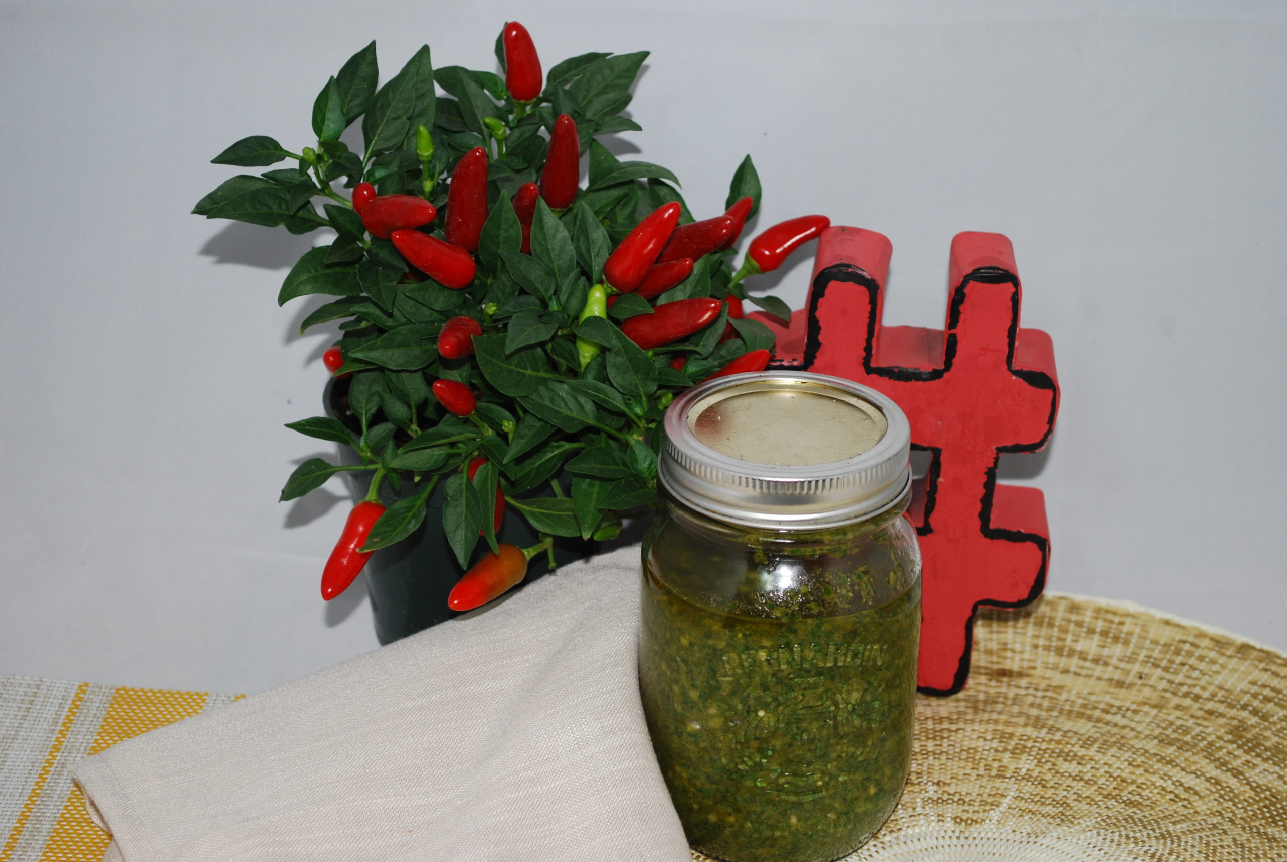 Cooking from my garden; Beautiful Basil - Love On A Plate